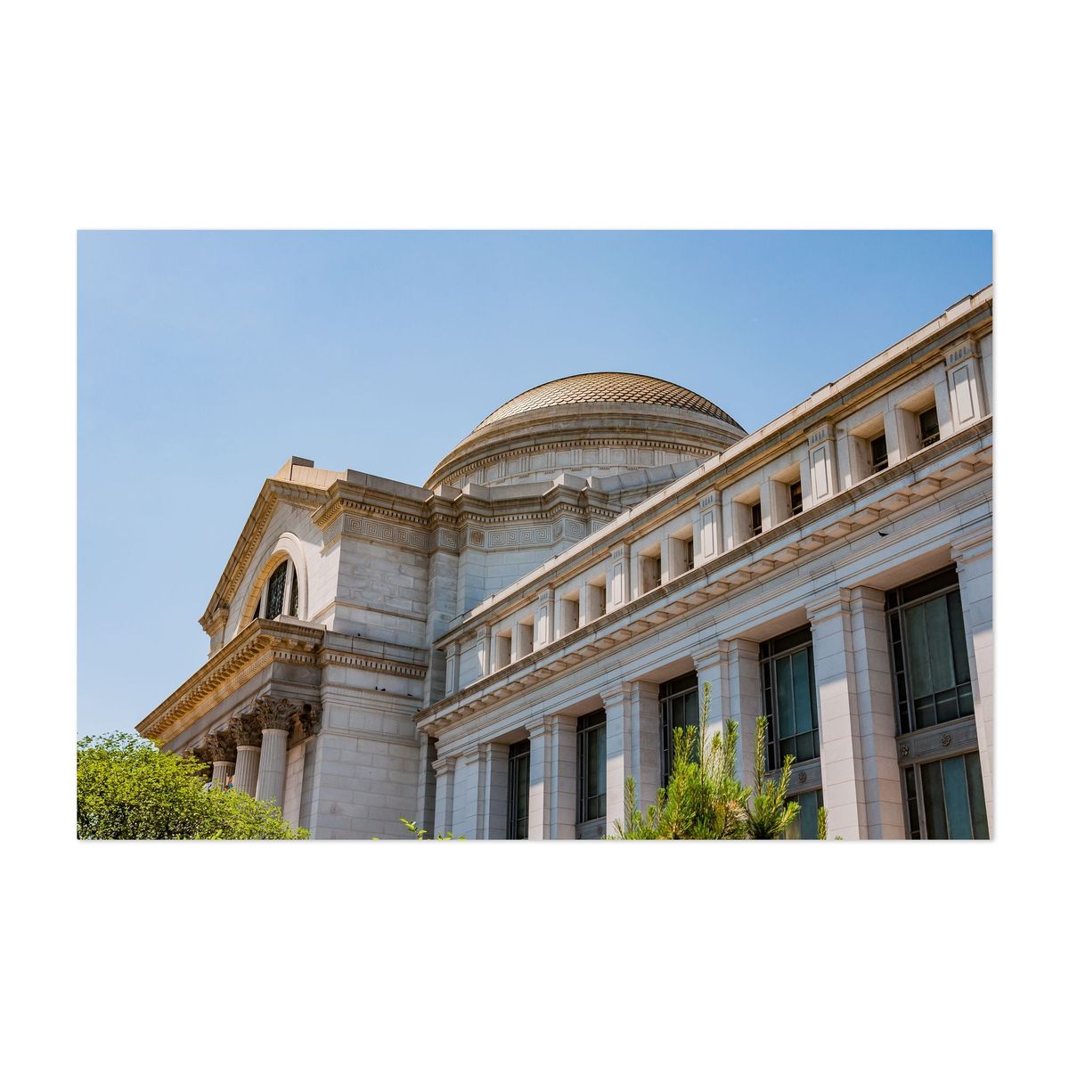 National Museum of Natural History | Framer Gallery | Wall Art & Prints