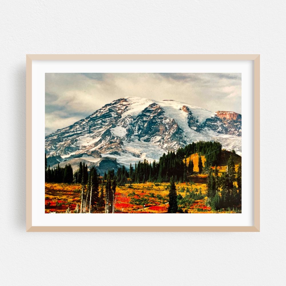 Lisa Elliott | Framer Gallery | Wall Art & Prints