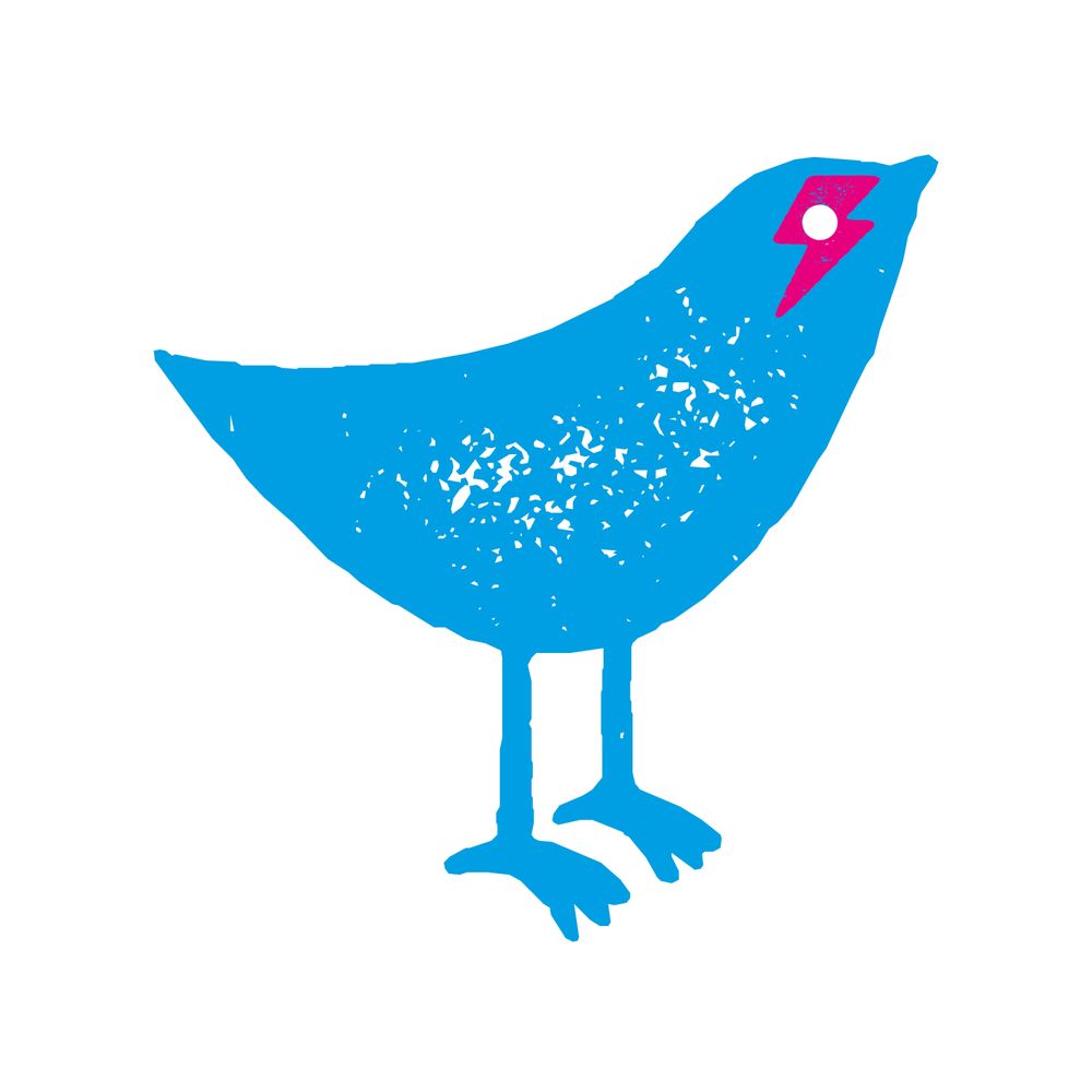 ZIGGY BIRD | Framer Gallery | Wall Art & Prints