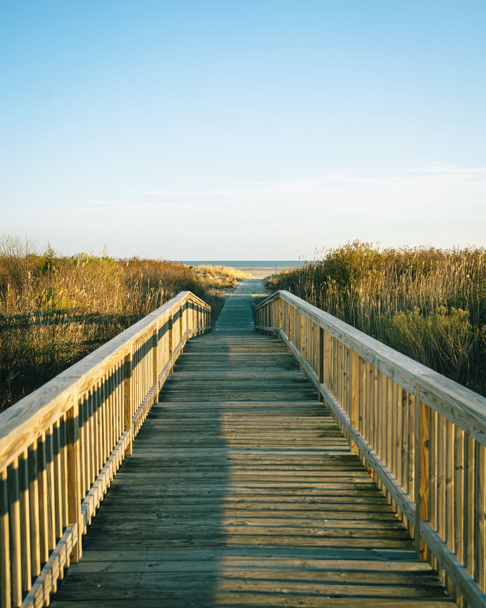 Beach Path, Wildwood | The Americana Project | Prints & Frames