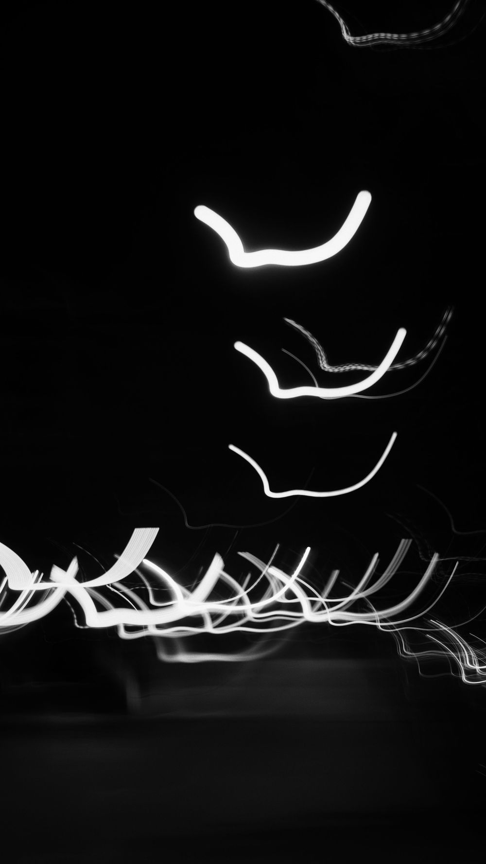 Birds of Light | Framer Gallery | Wall Art & Prints