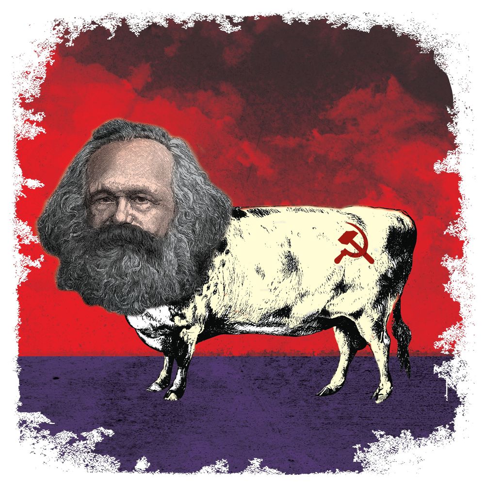 COW MARX - Victoriana illustration | Framer Gallery | Wall Art & Prints