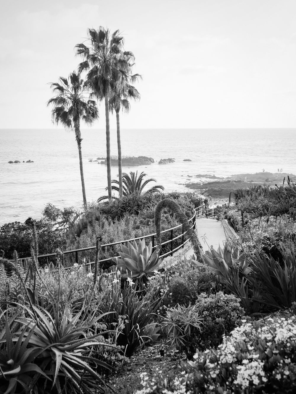 Heisler Park 02 B&W | Framer Gallery | Wall Art & Prints