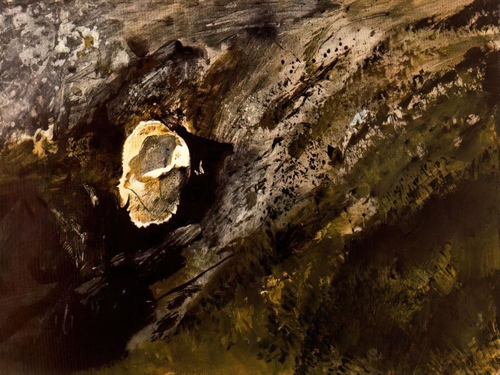 INLAND SHELL - Andrew Wyeth | Framer Gallery | Framed Wall Art Prints