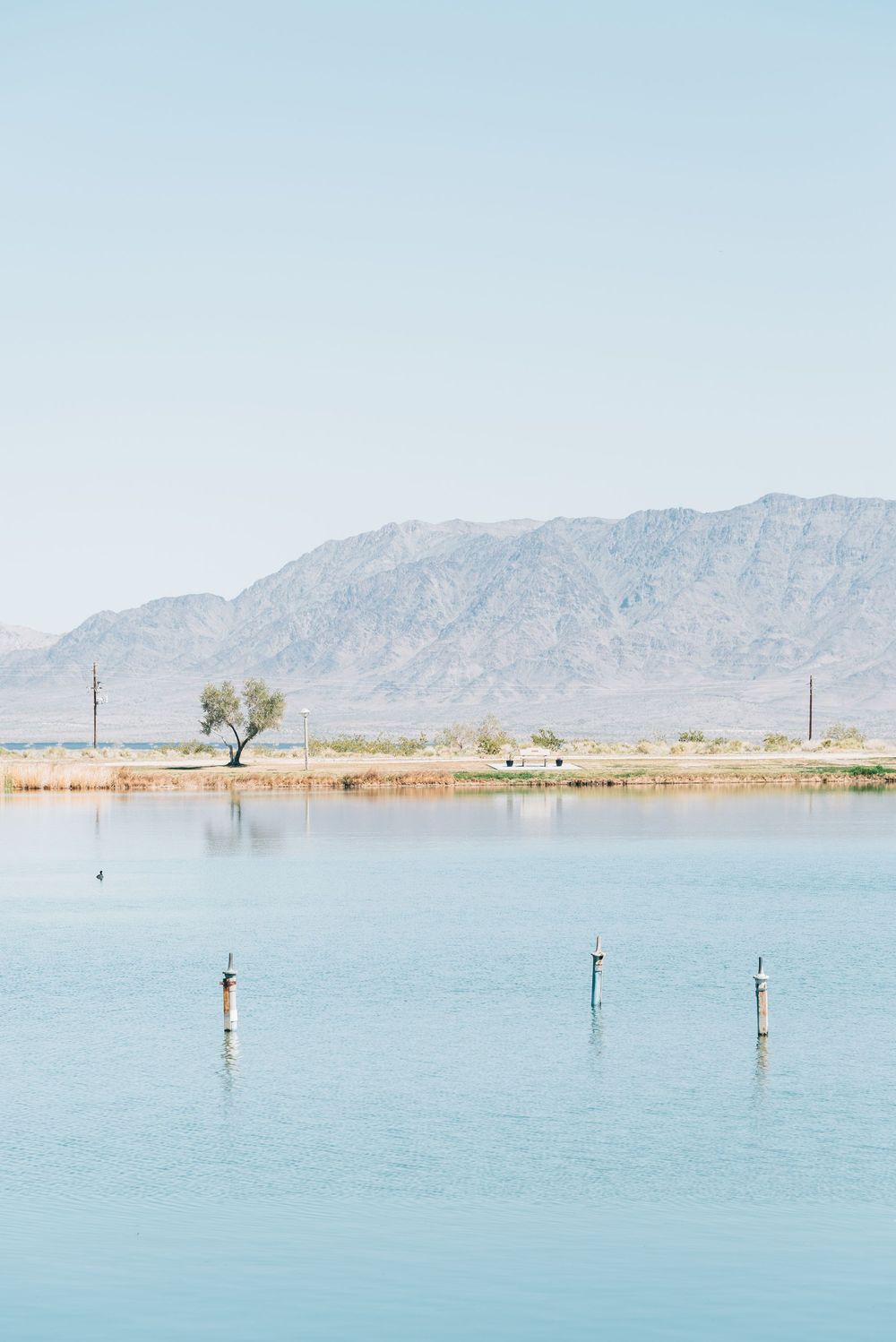 Lake Tamarisk | The Americana Project | Prints & Frames