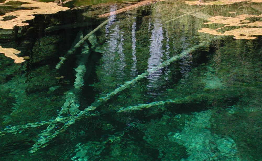 Michigan Submerged Serenity | Photo Impressions by Fern Shaffer