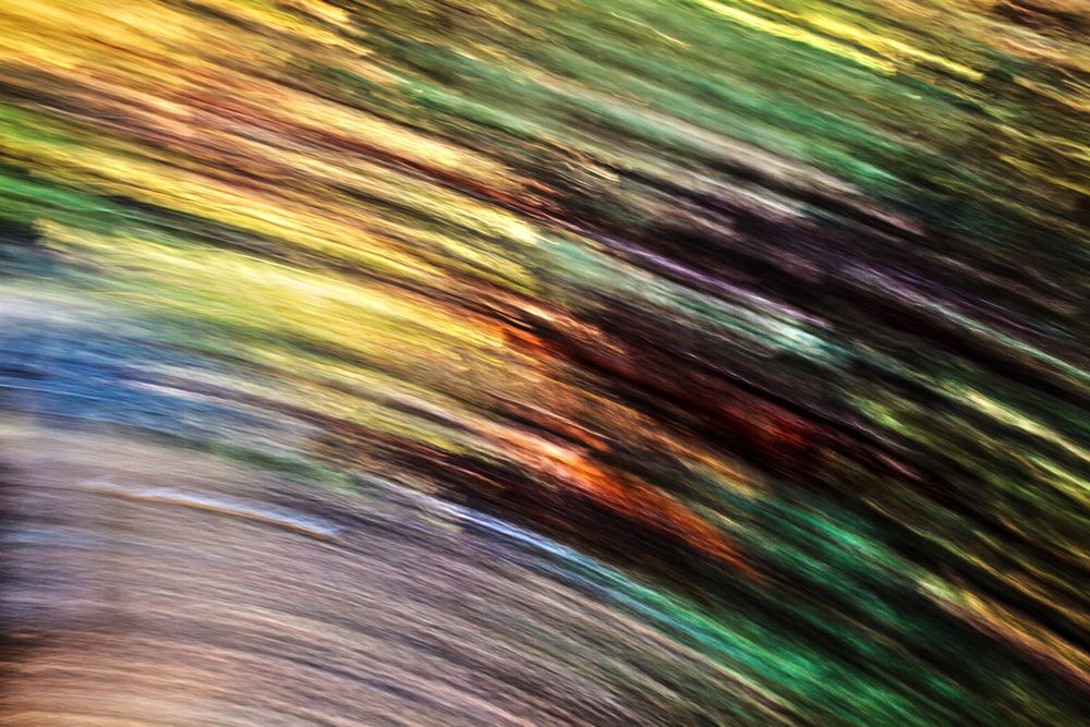Motion In Nature | Framer Gallery | Framed Wall Art Prints