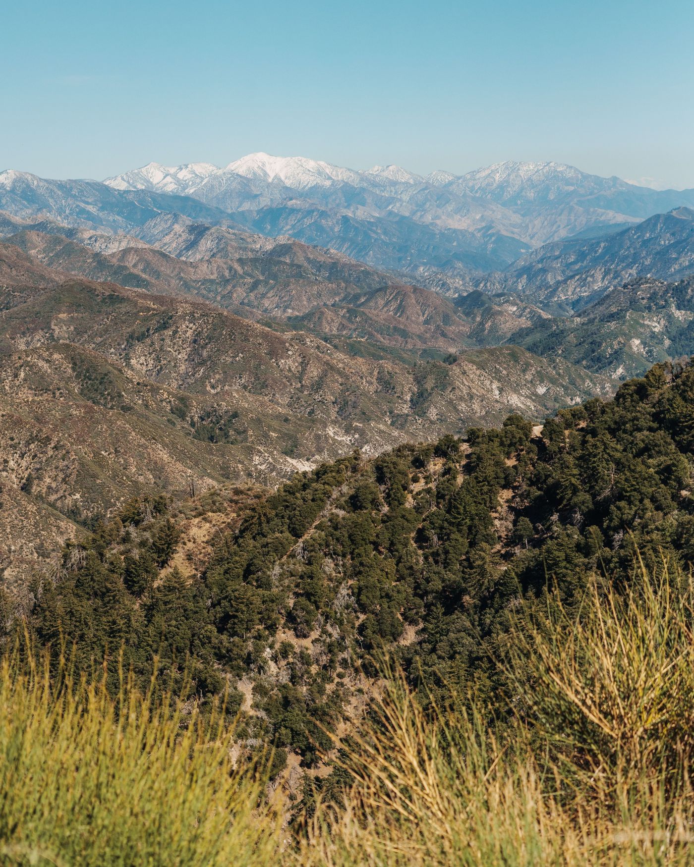 Mount Wilson Views 01 | The Americana Project | Prints & Frames