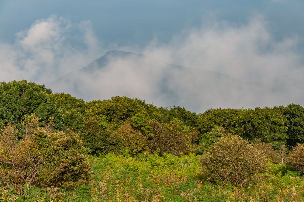 Old Rag Mountain in the Clouds, Virginia | Framer Gallery | Framed Wall ...