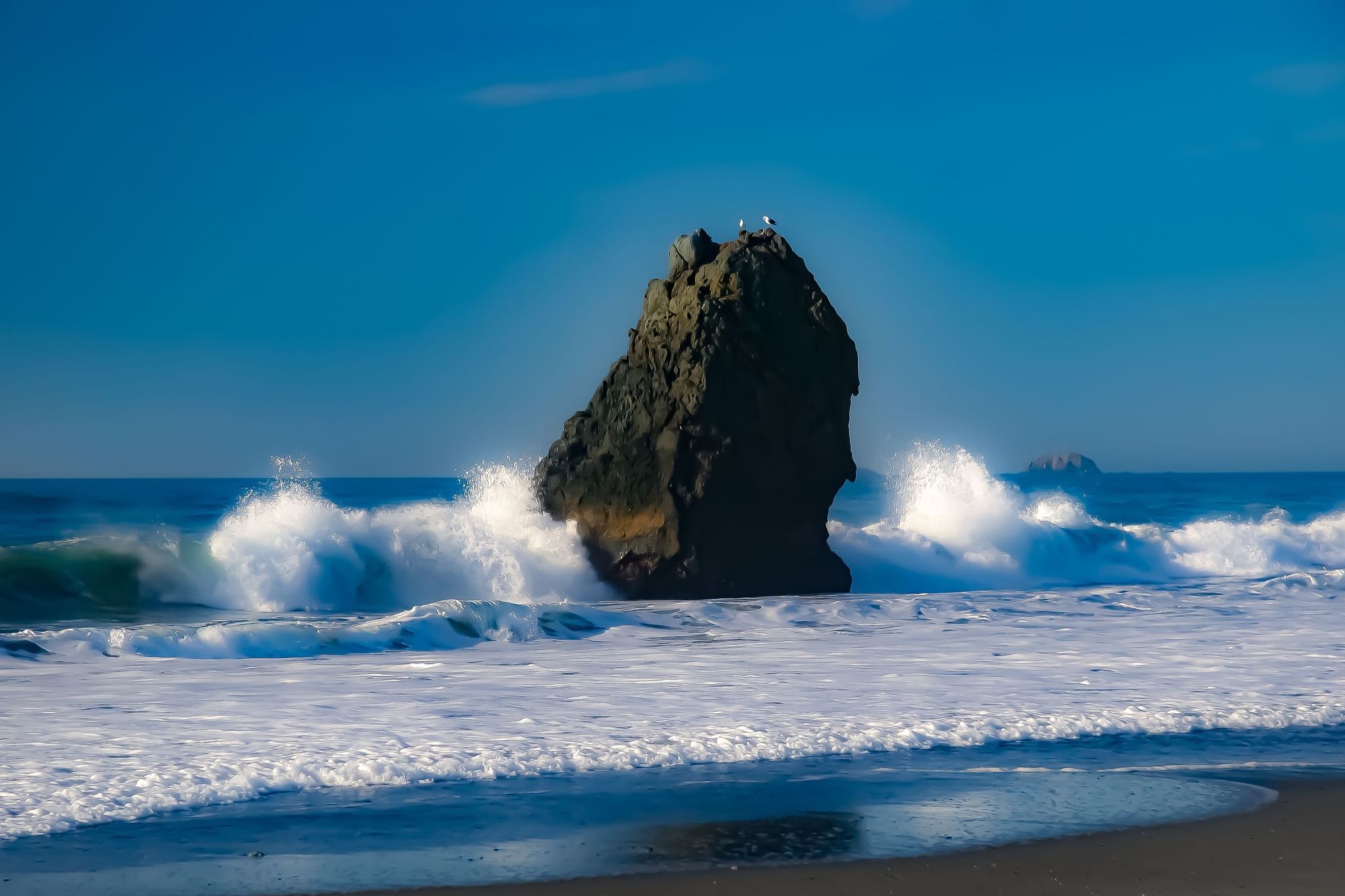 Recently Created | Photo Impressions by Fern Shaffer