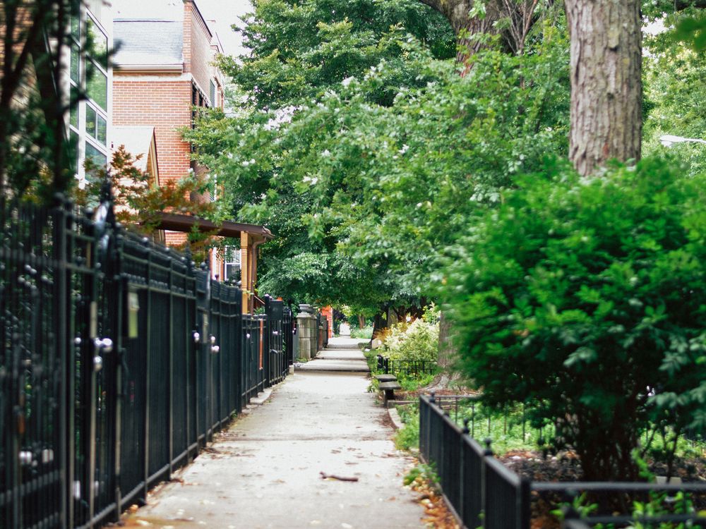 Overgrown Sidewalk | Framer Gallery | Wall Art & Prints