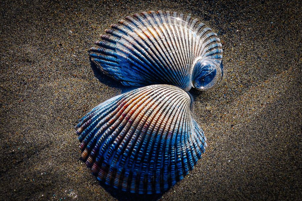 Washington Dual Harmony | Framer Gallery | Framed Wall Art Prints
