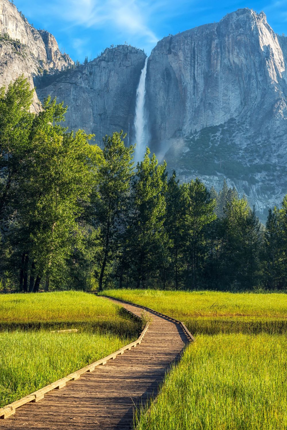 Serenity Path Yosemite Style | Framer Gallery | Framed Wall Art Prints